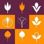 A Beginner's Guide to Saffron Quality and Types: How to Choose the Best ...